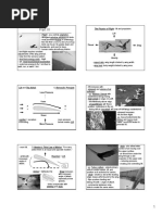 Bird Wing Types and Their Functions | PDF | Birds | Ornithology