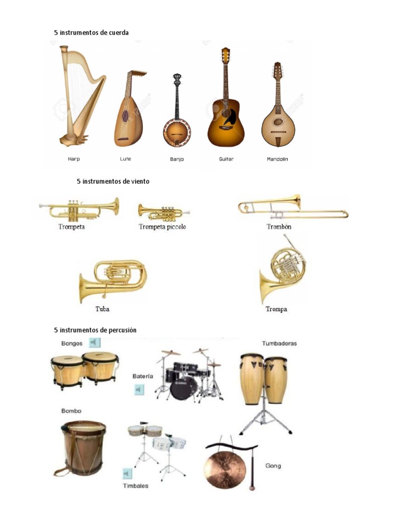 5 Instrumentos de Cuerda, Viento Percusion