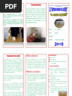 Triptico Experimento | PDF | Vinagre | Huevo como alimento