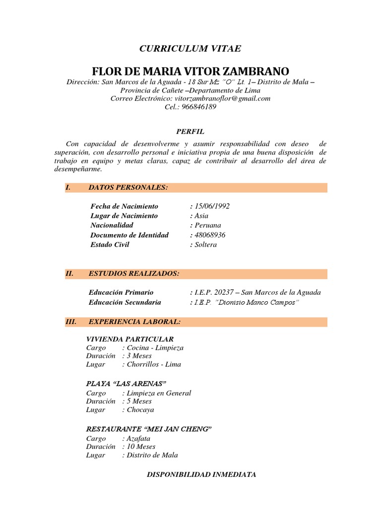 Curriculum Vitae - Victor | PDF