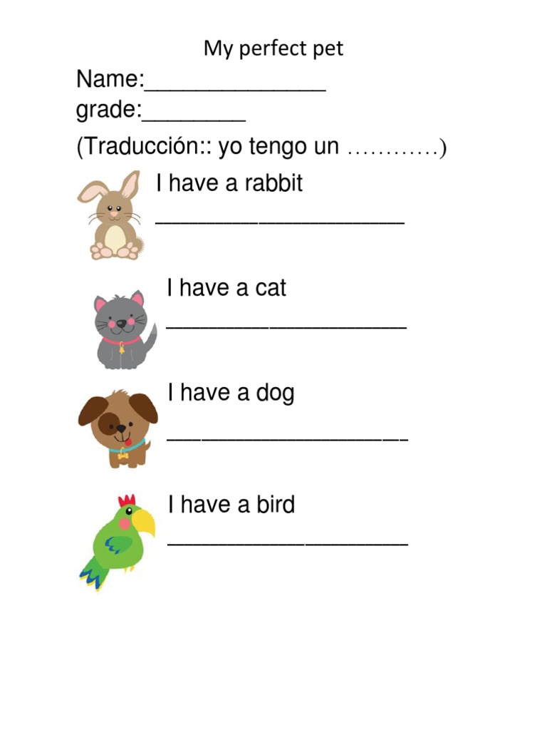 I Have A Pet Worksheet | PDF