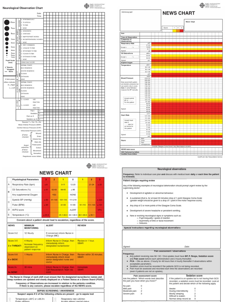 Neurological Observation Chart A3 Spreads - Layout 1 | Download Free ...