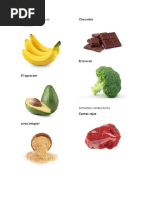 Alimentos Protectores Constructores y Energeticos | PDF