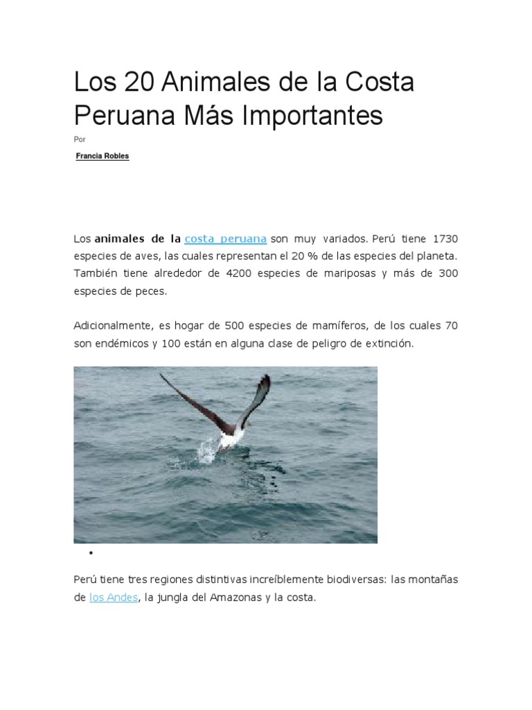 Los 20 Animales de la Costa Peruana Más Importantes Por Francia Robles ...