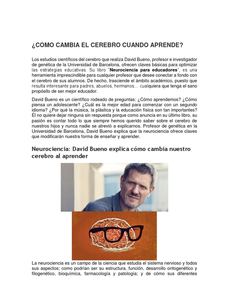 Cambios En El Cerebro Al Aprender Pdf Neurociencia Cerebro