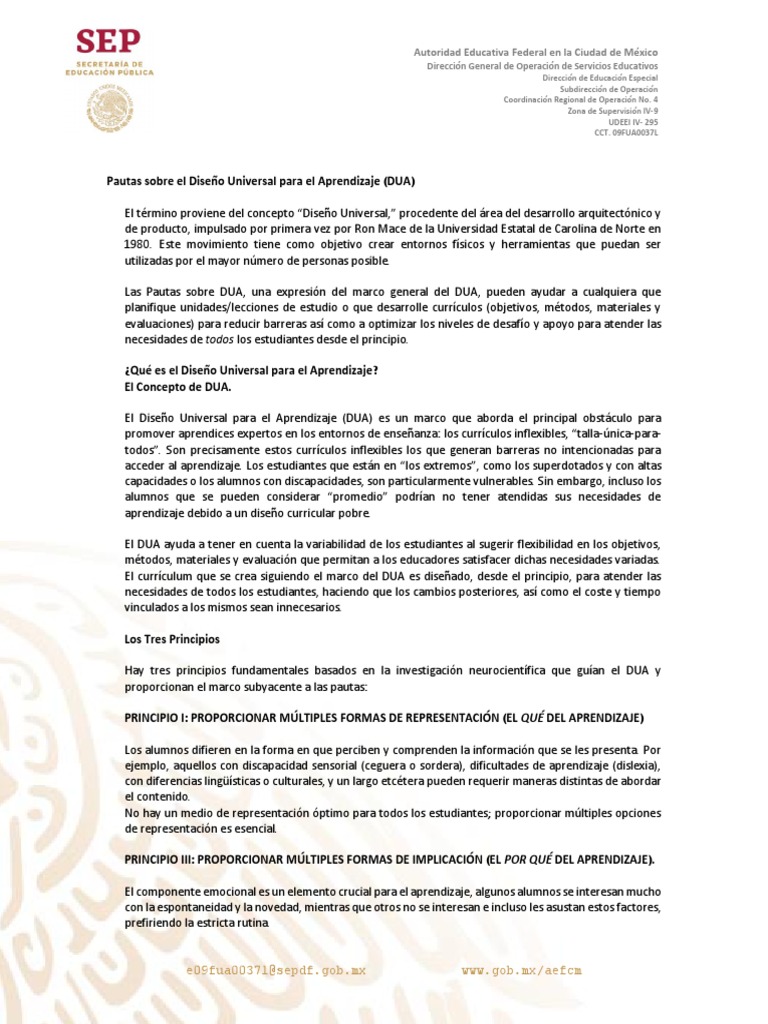 Dua (Diseño Universal Del Aprendizaje) | PDF | Plan de estudios ...