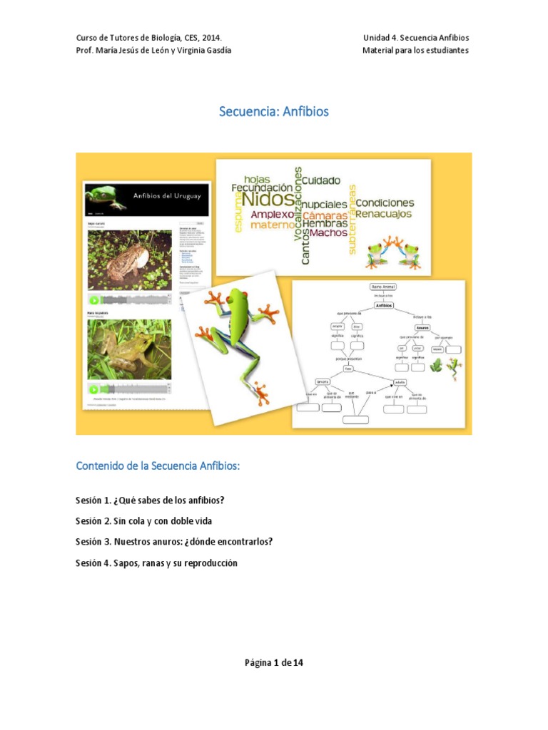 Ciclo Vital y Hábitat de Anfibios | PDF | Rana | Anfibio