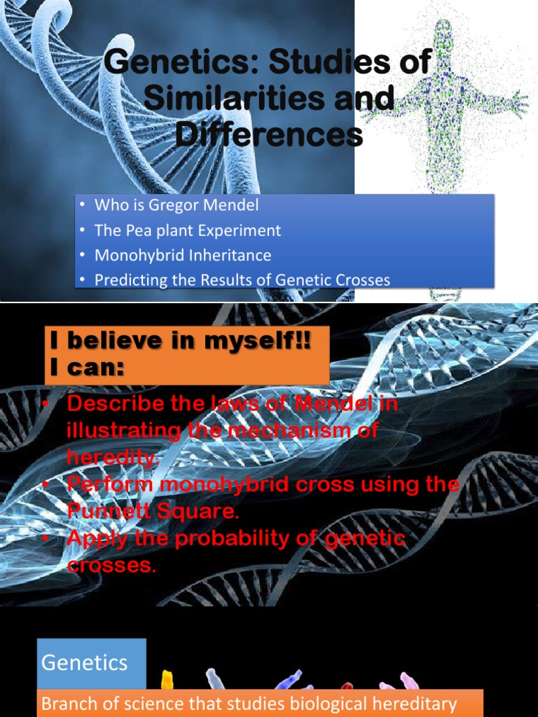 Genetics: Studies of Similarities and Differences | PDF | Dominance (Genetics) | Zygosity