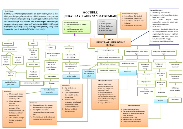 Woc BBLSR Aska | PDF