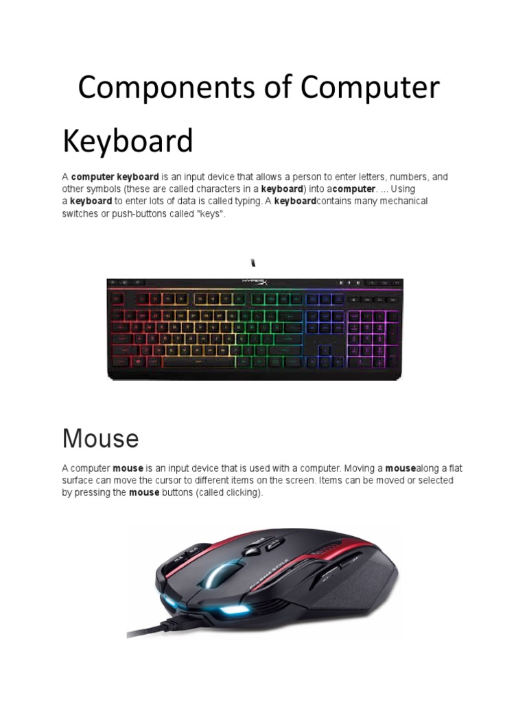 Components of Computer Keyboard: Mouse | PDF