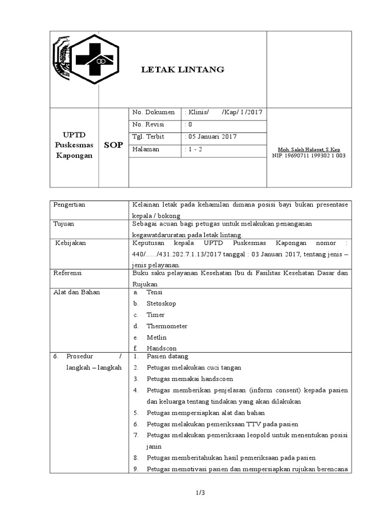 DETEKSI POSISI JANIN PADA KEHAMILAN LETAK LINTANG | PDF