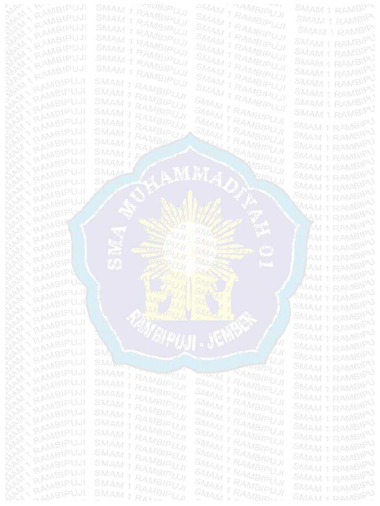 Background Raport | PDF