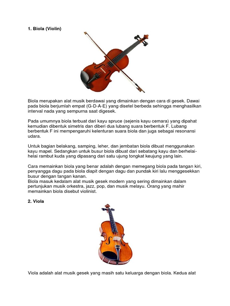 Alat Musik Gesek | PDF