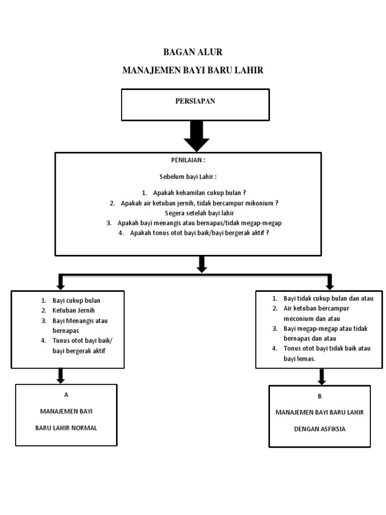Bagan Alur Manajemen Bayi Baru Lahir: Persiapan | PDF