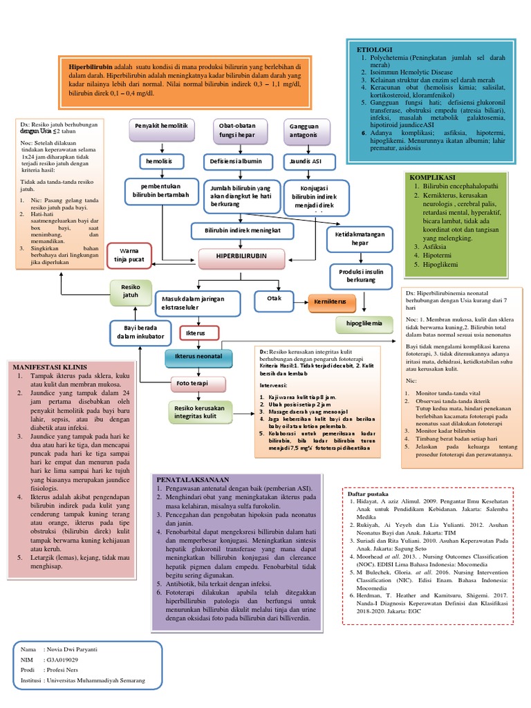 Woc Hiperbilirubin Fix | PDF