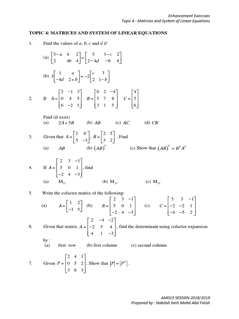 Topic 4 Matrices and System of Linear Equations | PDF | Matrix (Mathematics) | Functional Analysis