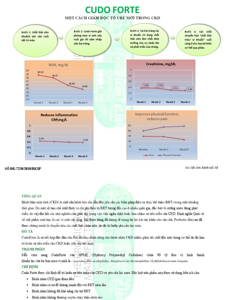 Cudo Forte Brochure | PDF