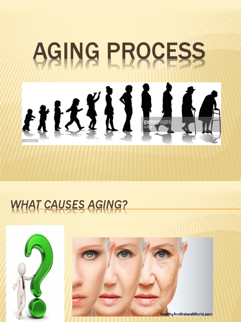 Aging Process | PDF