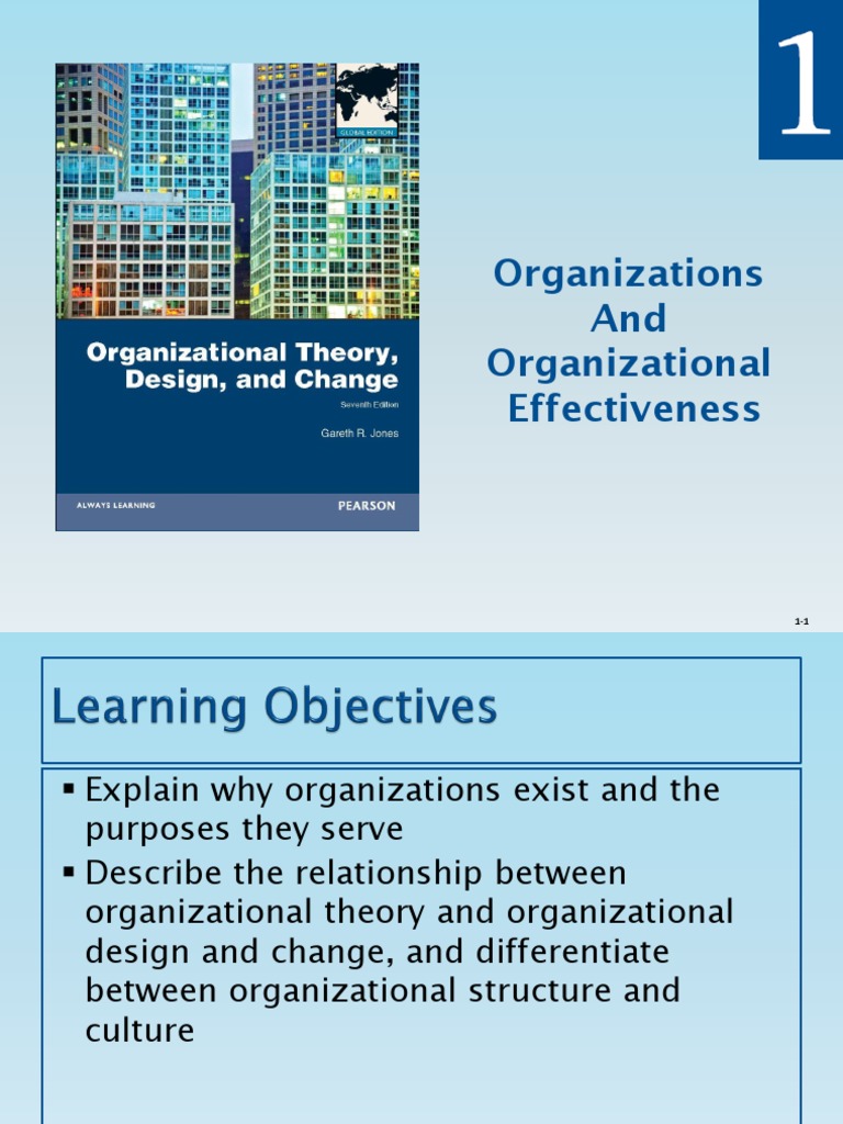Organizations and Organizational Effectiveness | PDF | Goal ...