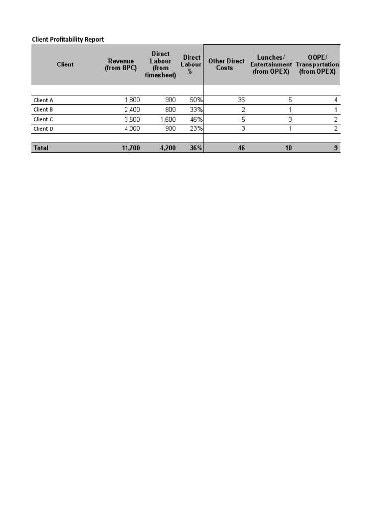 Client Profitability Report | PDF