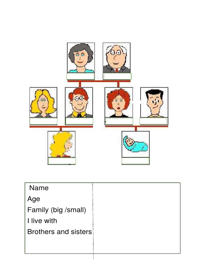 Personal Details and Number Creation | PDF