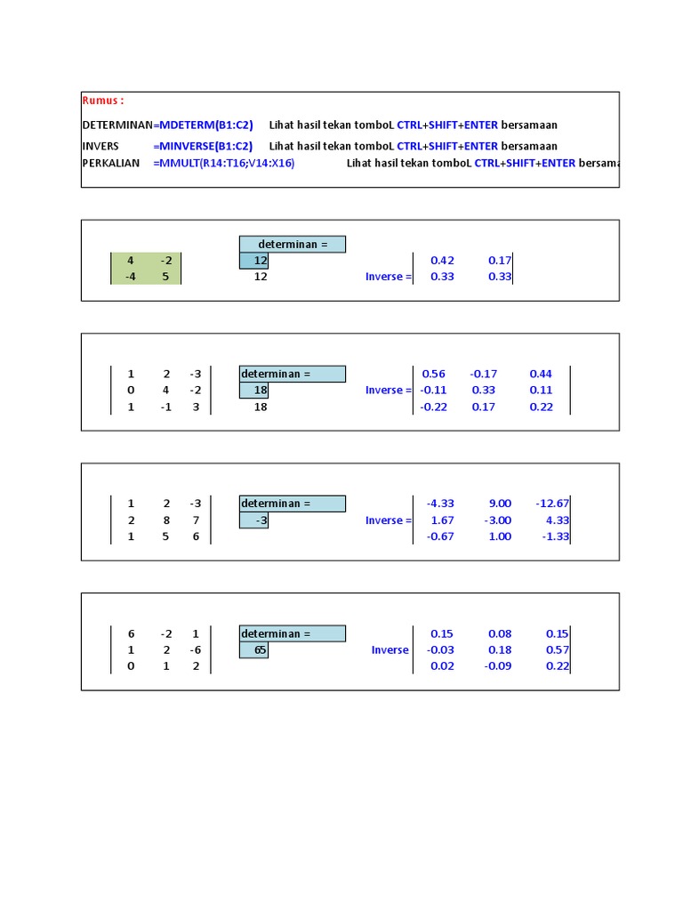 MDETERM (B1:C2) MINVERSE (B1:C2) CTRL Shift Enter CTRL Shift Enter CTRL Shift Enter | PDF