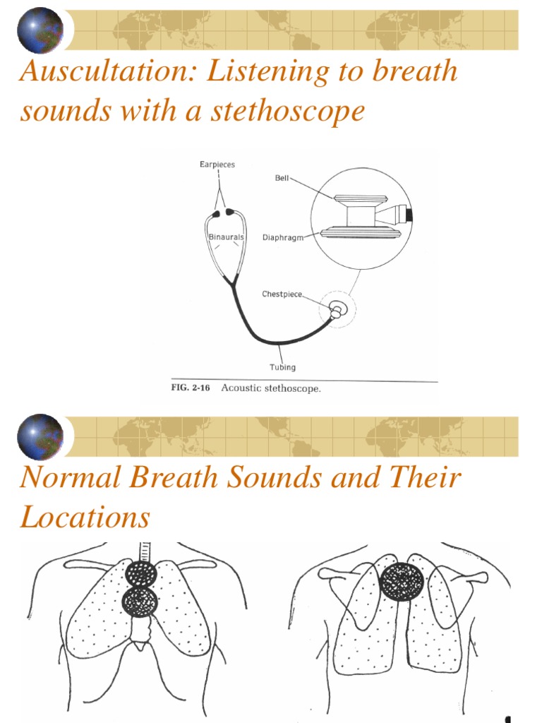 Auscultation: Listening To Breath Sounds With A Stethoscope | PDF