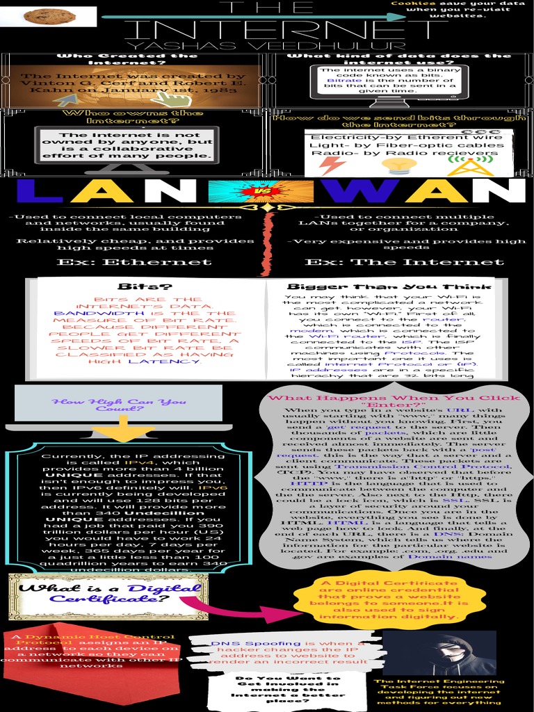 Infographic | PDF | World Wide Web | Internet & Web
