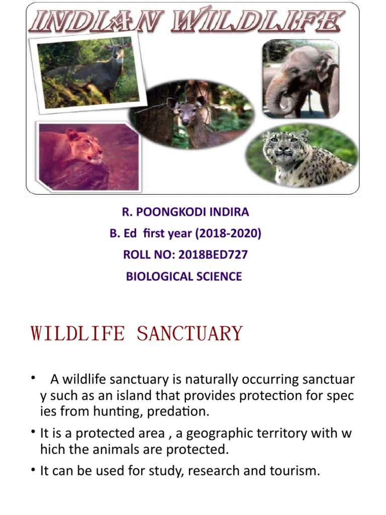 Wildlife Sanctuaries in India: Conservation Insights | PDF