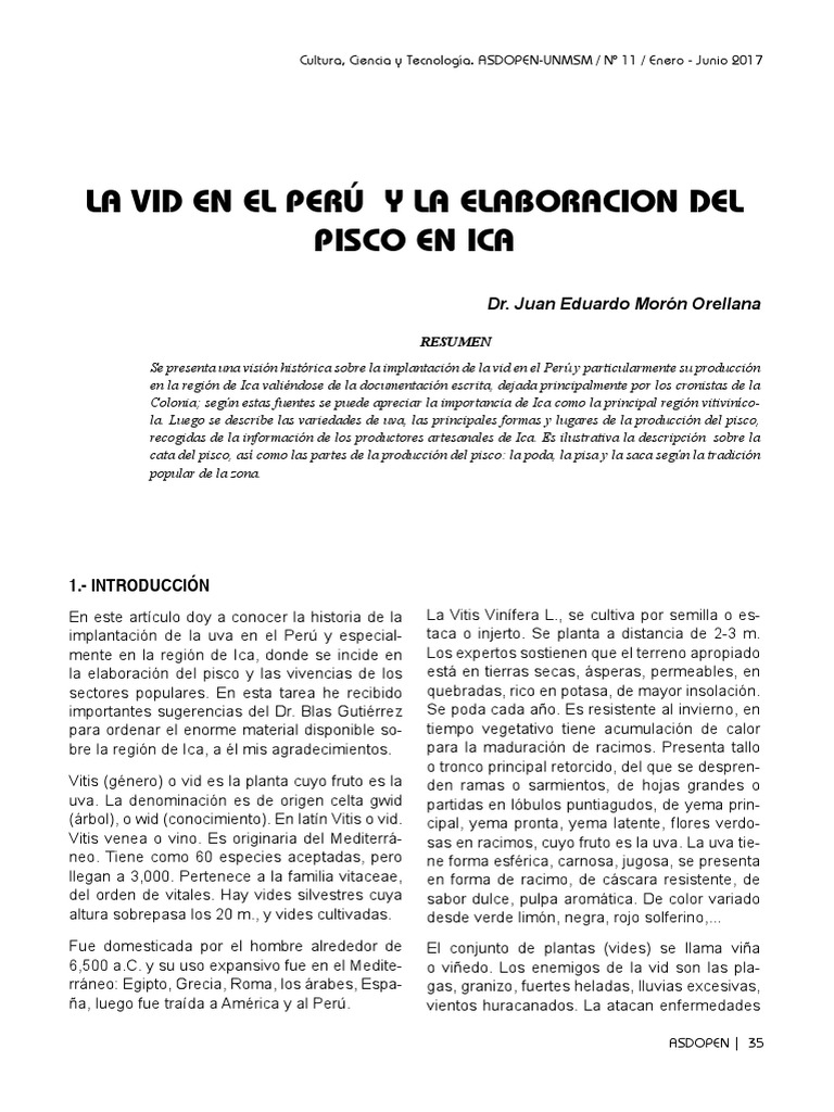 Pisco Peru | PDF | Vitis | Uva