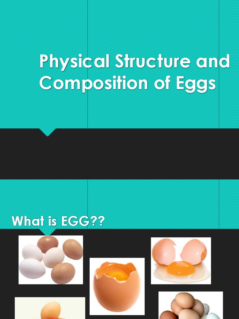 physical-structure-and-composition-of-eggs-yolk-egg-as-food