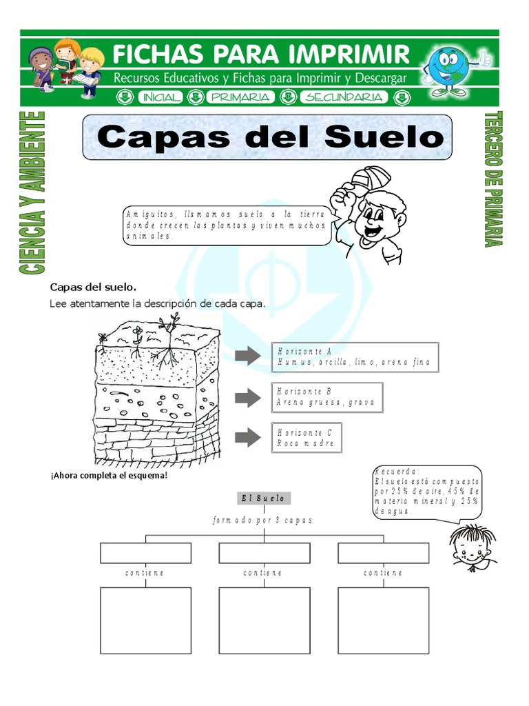 Ficha Capas Del Suelo Para Tercero de Primaria | Naturaleza | Prueba ...