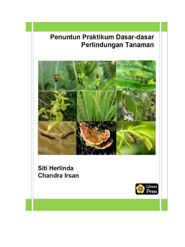 Buku Penuntun Praktikum DDPT | PDF | Sains & Matematika