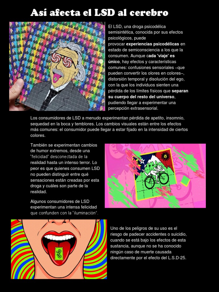 Así Afecta El LSD Al Cerebro | PDF