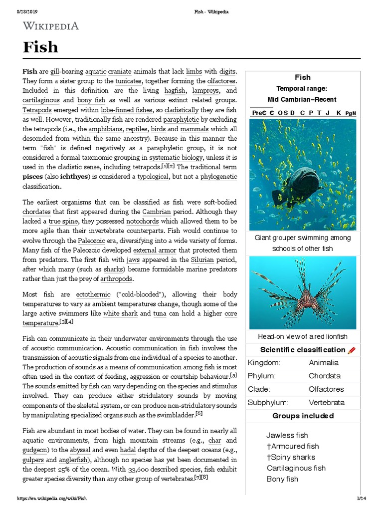 Fish | PDF | Fish | Cerebrum