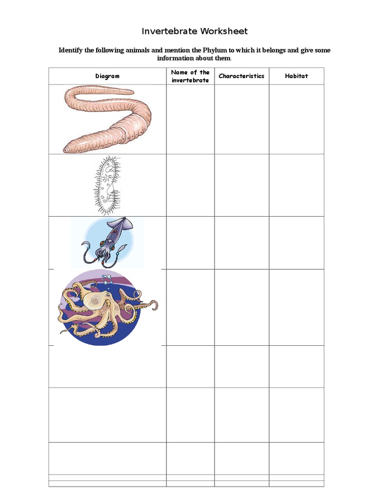 Invertebrate Worksheet | PDF