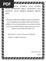 Qajeelfama Raawwii Bulchiinsa Humna Namaa J1ffaa Fi 2ffaa Final | PDF