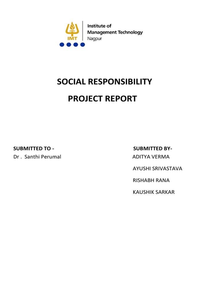 Social Responsibility Project Report | PDF | Unilever | Corporate ...