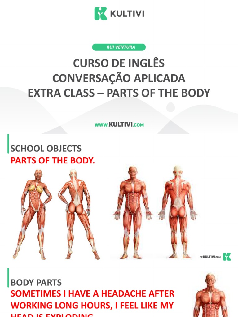English Course: Body Parts Vocabulary | PDF | Human Anatomy | Primate ...