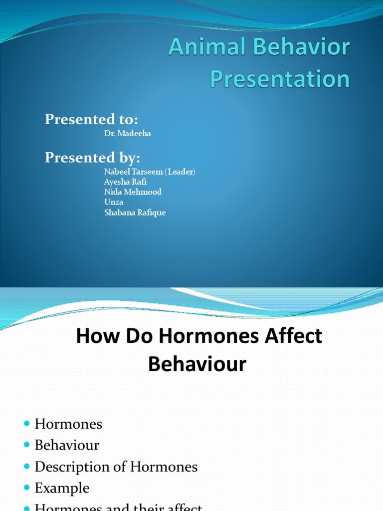 Animal Behavior Presentation | PDF | Hormone | Estrogen