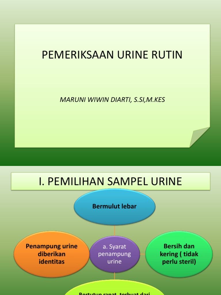 Urinalisa II | PDF | Kesehatan Holistik