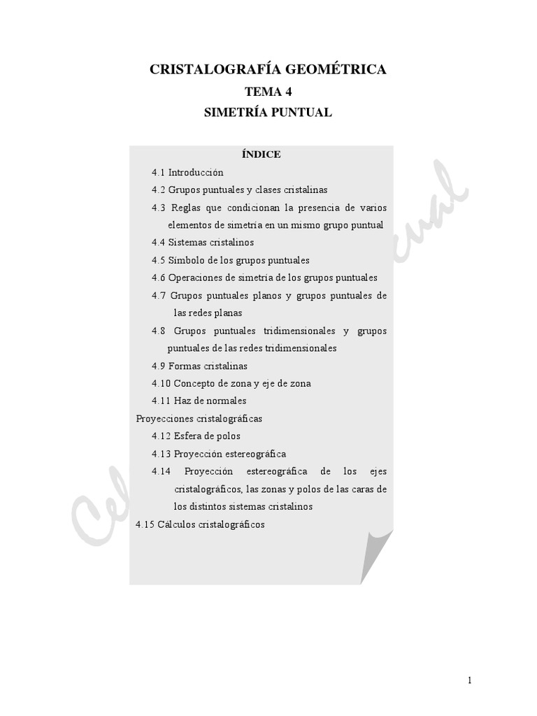 Simetria Puntual PDF | PDF | Business
