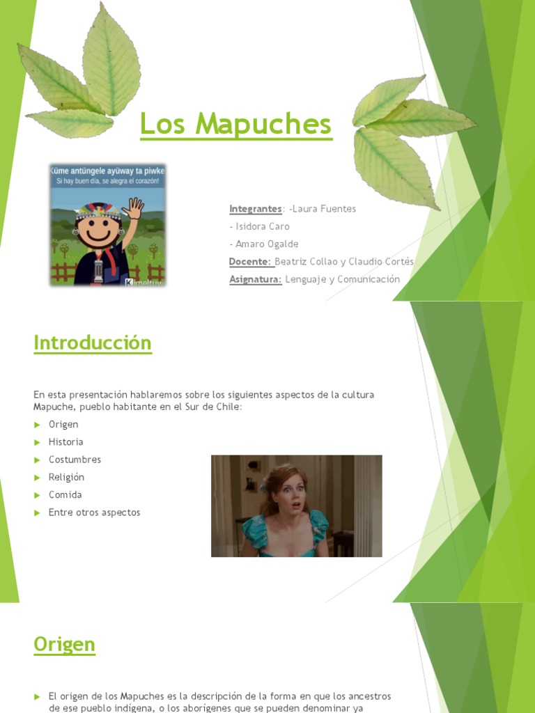 Los Mapuches Pdf Ropa