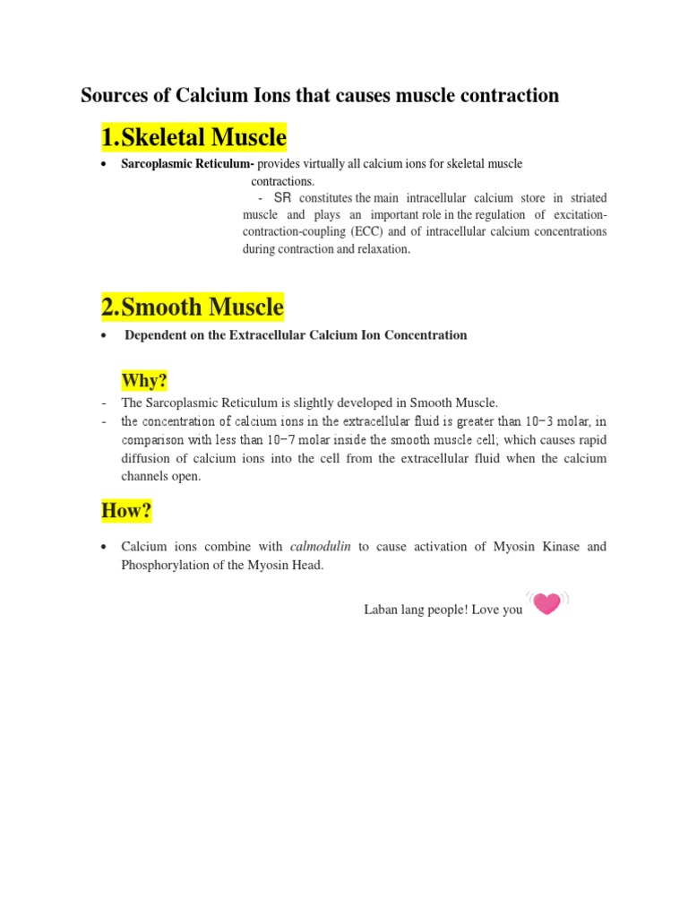 Calcium Sources for Muscle Contraction | PDF | Science & Mathematics