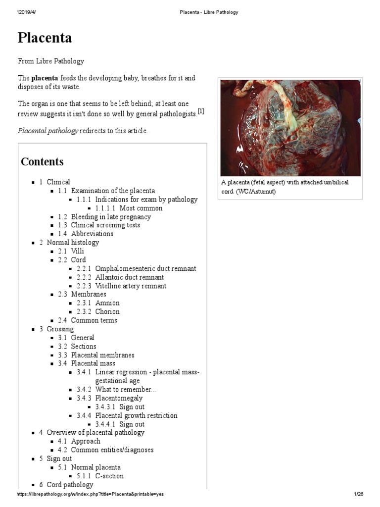 2 Placenta - Libre Pathology | PDF | Placenta | Childbirth