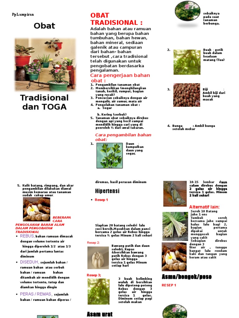 Leaflet Obat Tradisional | PDF