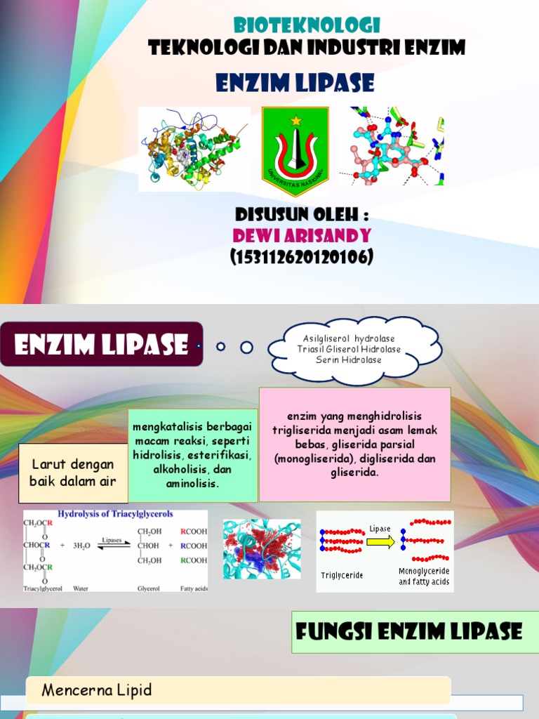Enzim Lipase | PDF | Kesehatan Holistik | Sains & Matematika