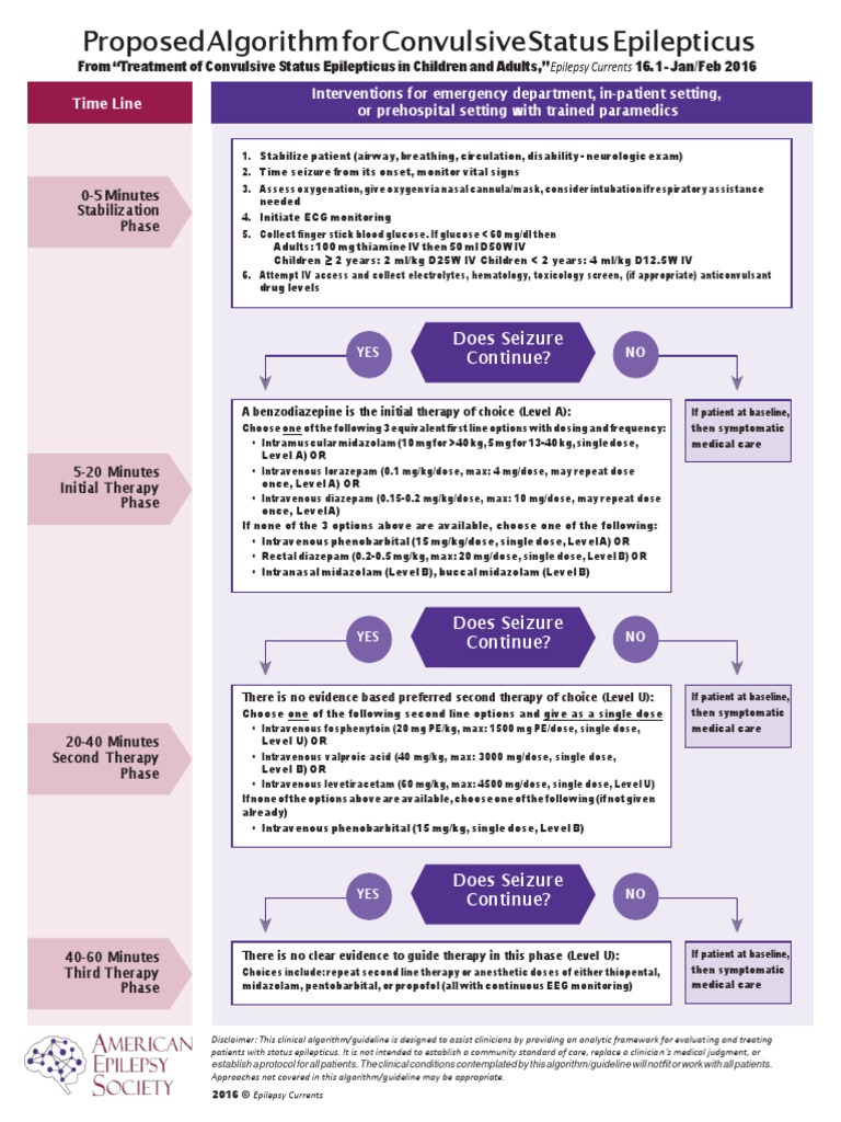 CSE Treatment Chart-Final - Rerelease | PDF | Midazolam | Clinical Medicine