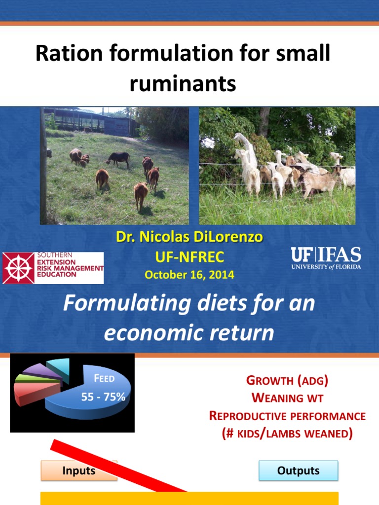 Ration Small Ruminants | PDF | Hay | Goat
