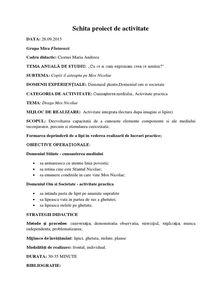 Schita Proiect Integrat | PDF